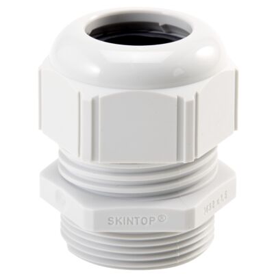 SKINTOP STR ISO M 20x1,5 RAL 7001 SGY-LAPP